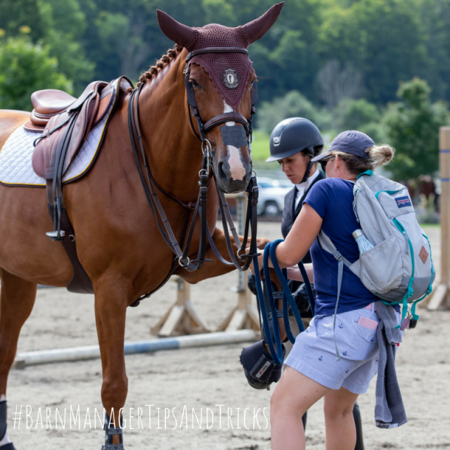 Tips and Tricks from the Best Hunter Barn Managers in the Business ...