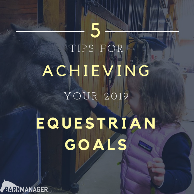 Five Tips for Achieving Your Equestrian Goals in 2019 – BarnManager