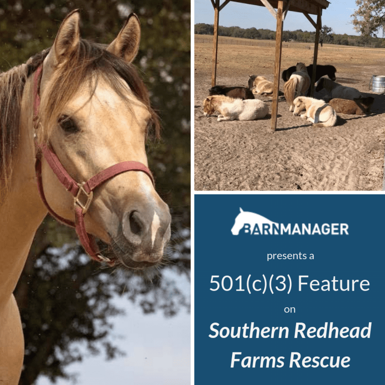 501(c)(3) Feature: Southern Redhead Farms Rescue - BarnManager