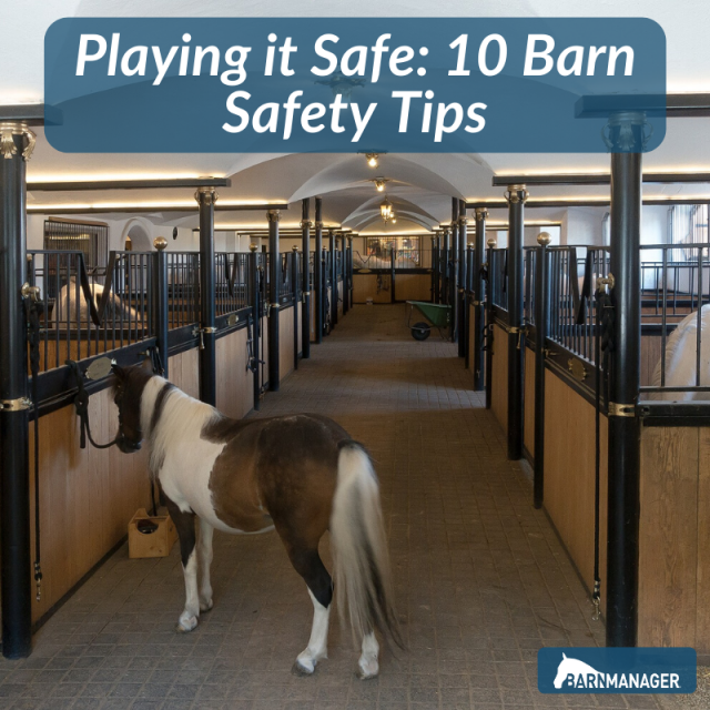 Playing it Safe: 10 Barn Safety Tips – BarnManager