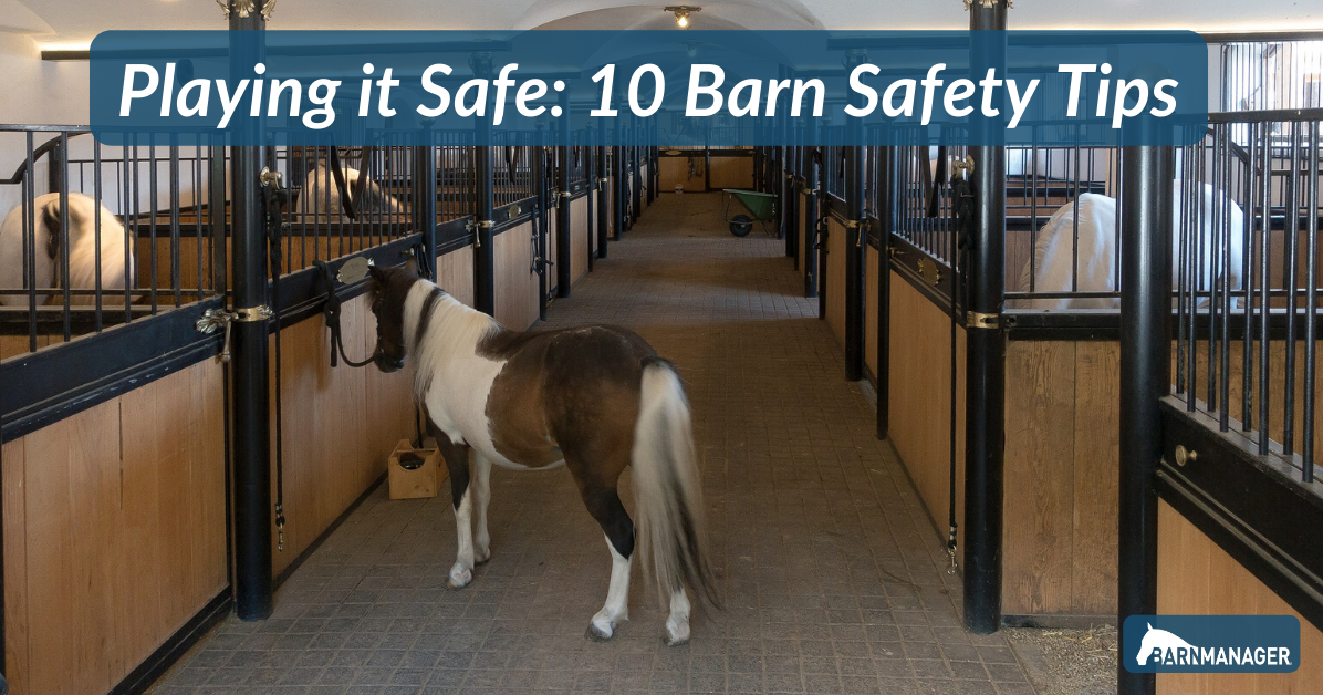 Barn Manager – Playing it Safe: 10 Barn Safety Tips