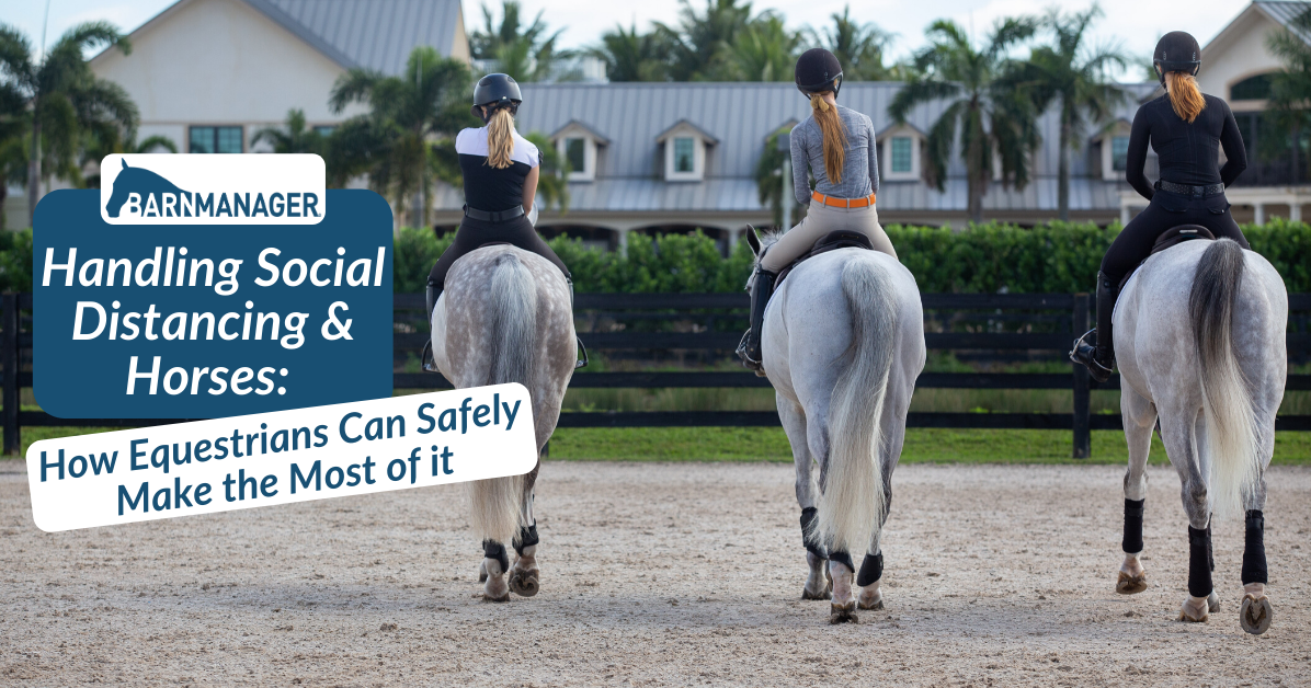 Handling Social Distancing and Horses: How Equestrians Can Safely Make ...