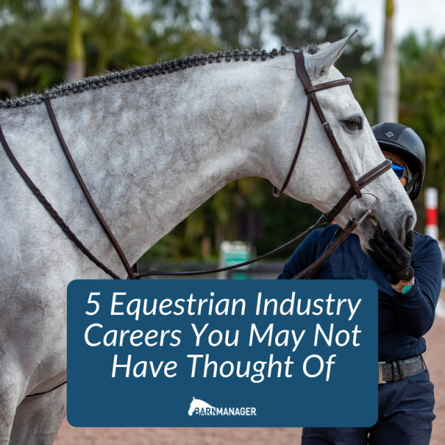 Five Equestrian Industry Careers You May Not Have Thought Of – BarnManager