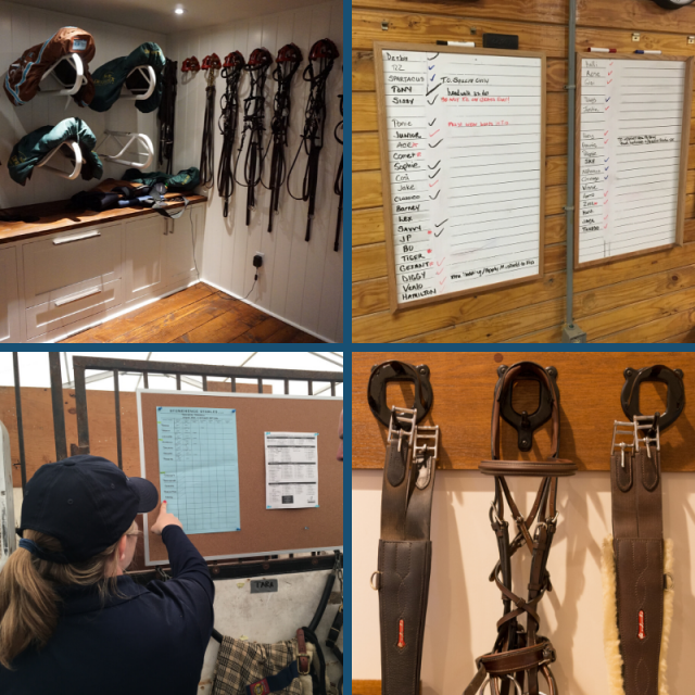 What Makes a Good Barn Manager? The Answer According to Barn Managers ...