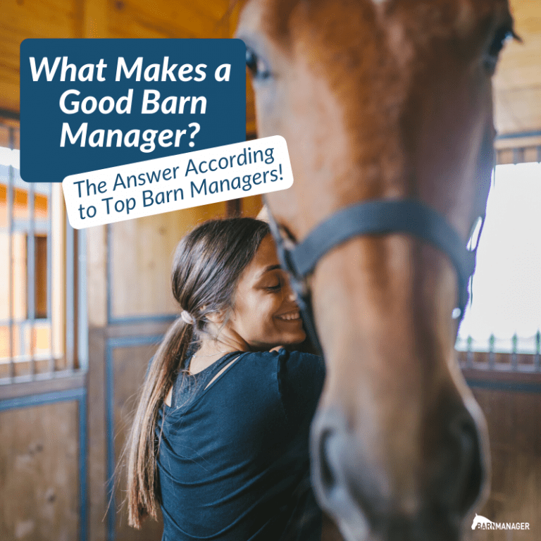 What Makes a Good Barn Manager? The Answer According to Barn Managers ...