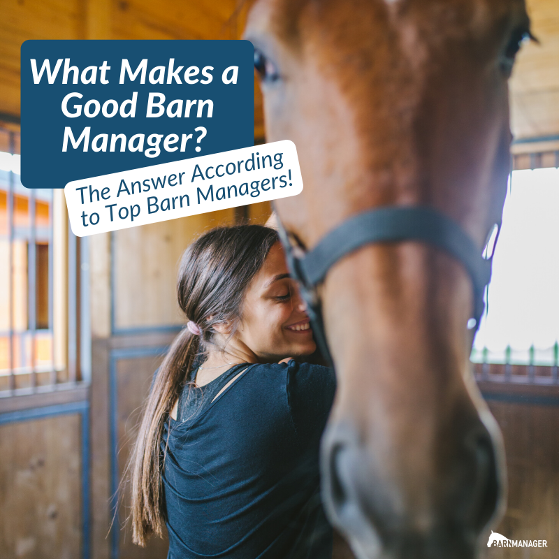 What Makes A Good Barn Manager The Answer According To Barn Managers