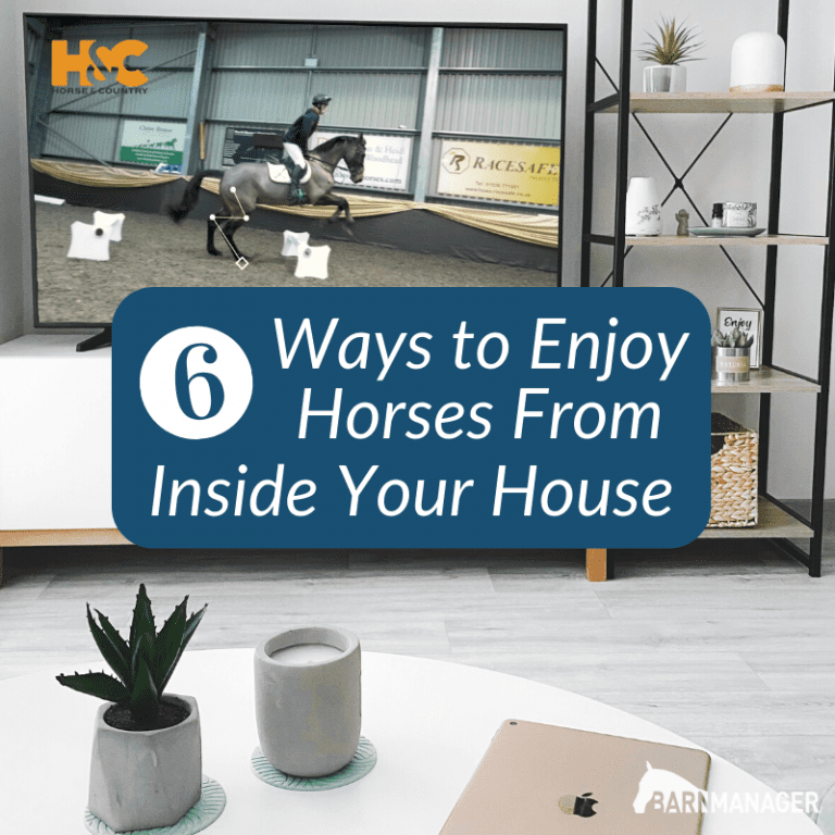 Six Ways to Enjoy Horses From Inside Your House – BarnManager