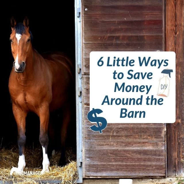 6 Little Ways to Save Money Around the Barn – BarnManager