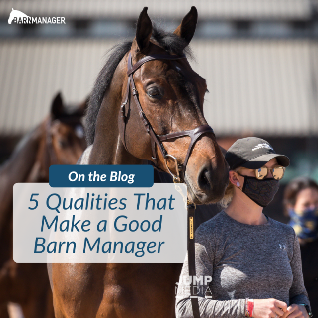 Five Qualities That Make a Good Barn Manager – BarnManager
