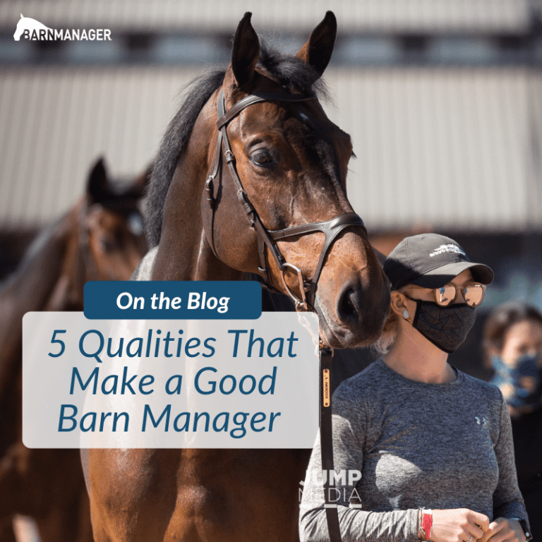 Five Qualities That Make A Good Barn Manager BarnManager