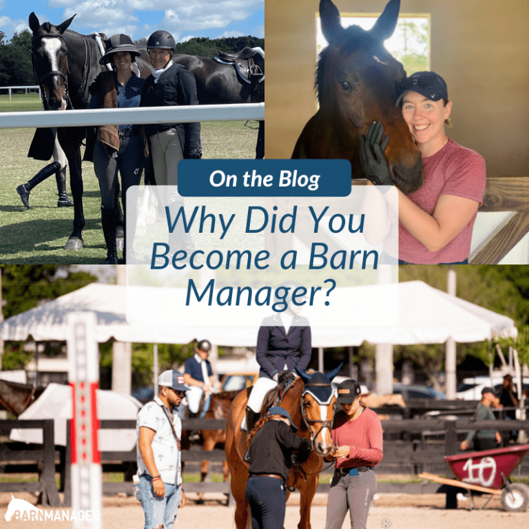 BarnManager Blog – BarnManager