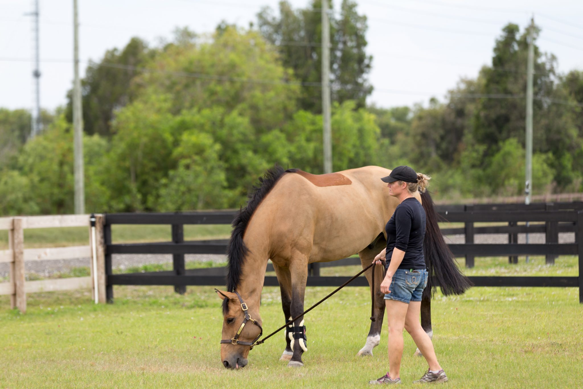 Six New Year’s Resolutions for Equestrians – BarnManager