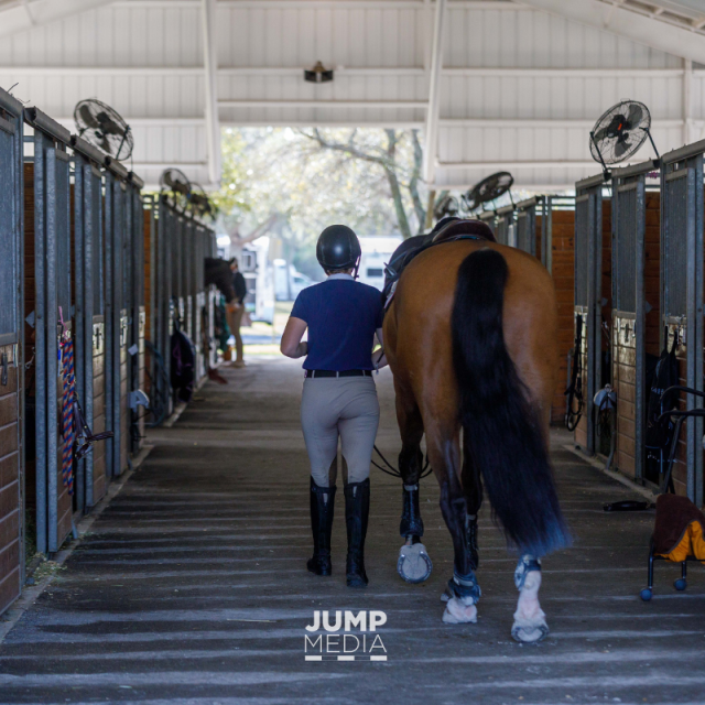 What To Know Before Taking a Job as a Barn Manager or Groom – BarnManager