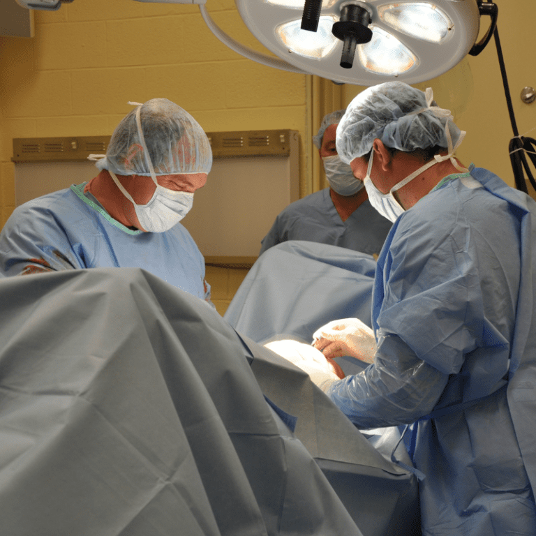 BarnManager Horse Health Series: An Owner’s Guide to Colic Surgery ...