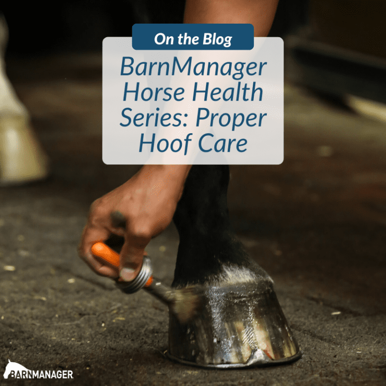 BarnManager Blog – BarnManager